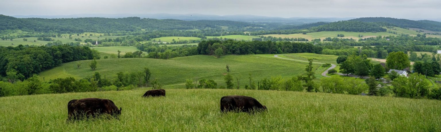 Financial Incentives Program - Virginia Grassland Bird Initiative