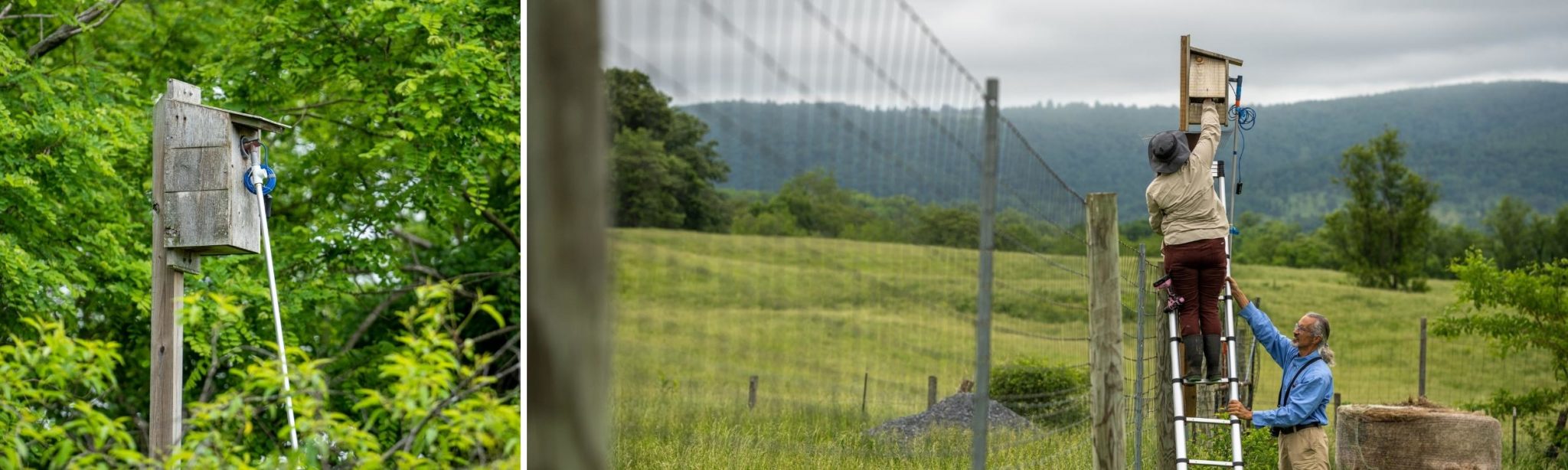Nest Box Program - Virginia Grassland Bird Initiative