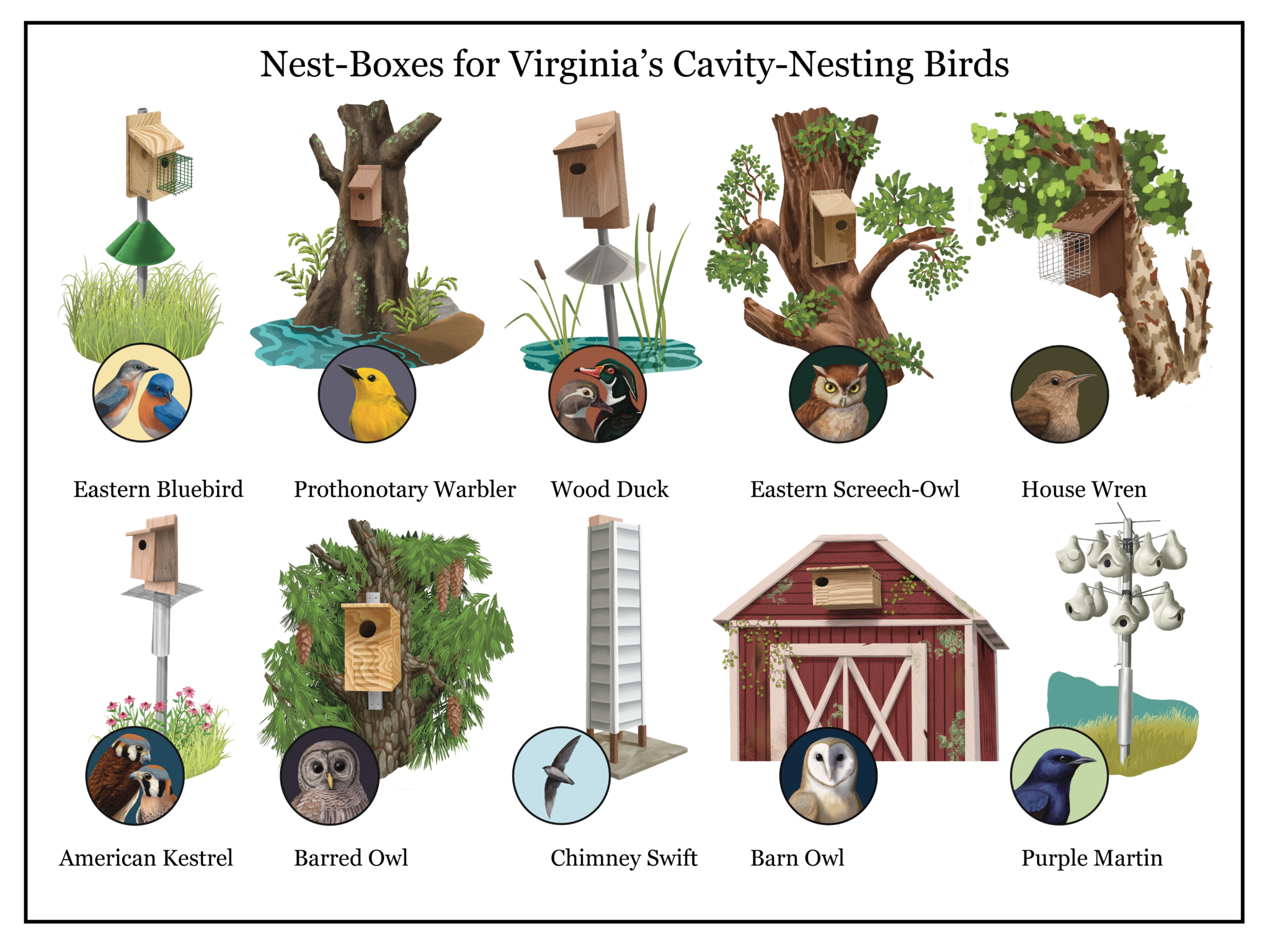 Nest Box Program - Virginia Grassland Bird Initiative