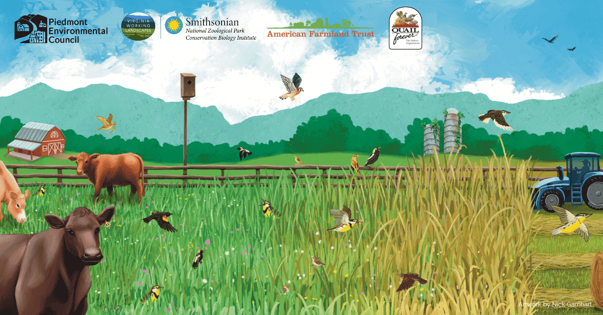 Financial Incentives Program - Virginia Grassland Bird Initiative